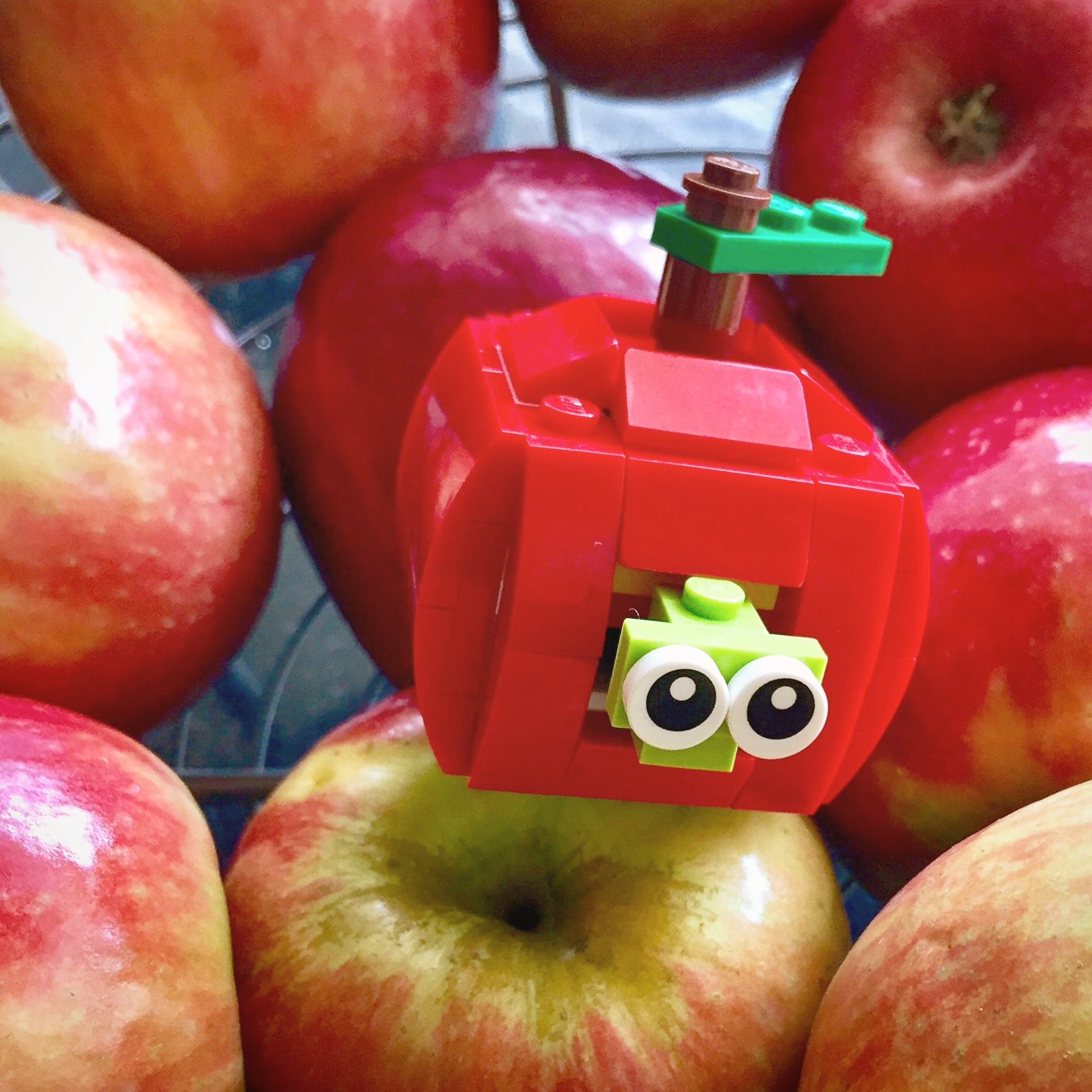 What I learned from the August Monthly build 40215: Apple | The ...