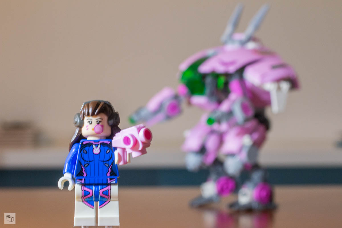 IMG_3539 | The Rambling Brick