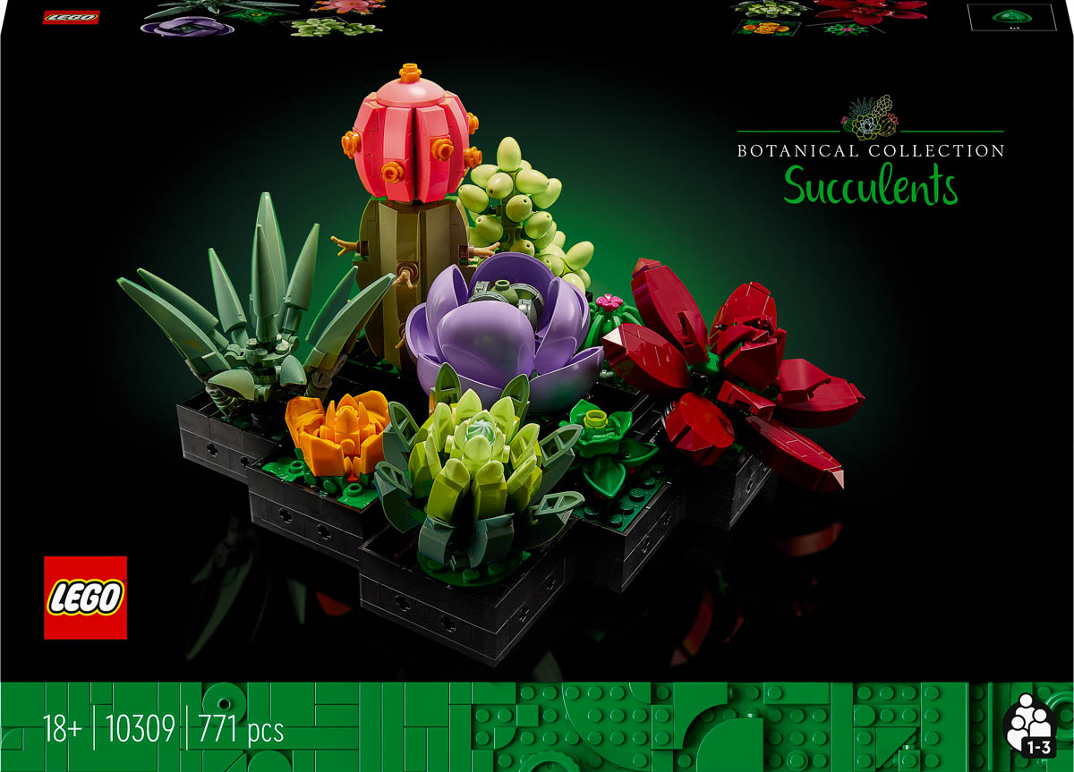 New Botanical Collection: Orchid and Succulents revealed in time for ...
